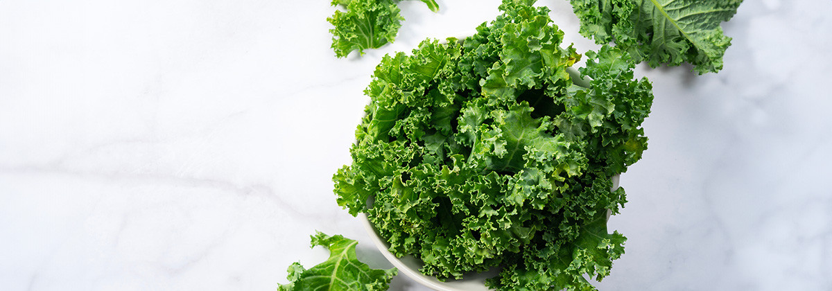 Jarmuż – niedoceniony polski superfood - Diety NFZ